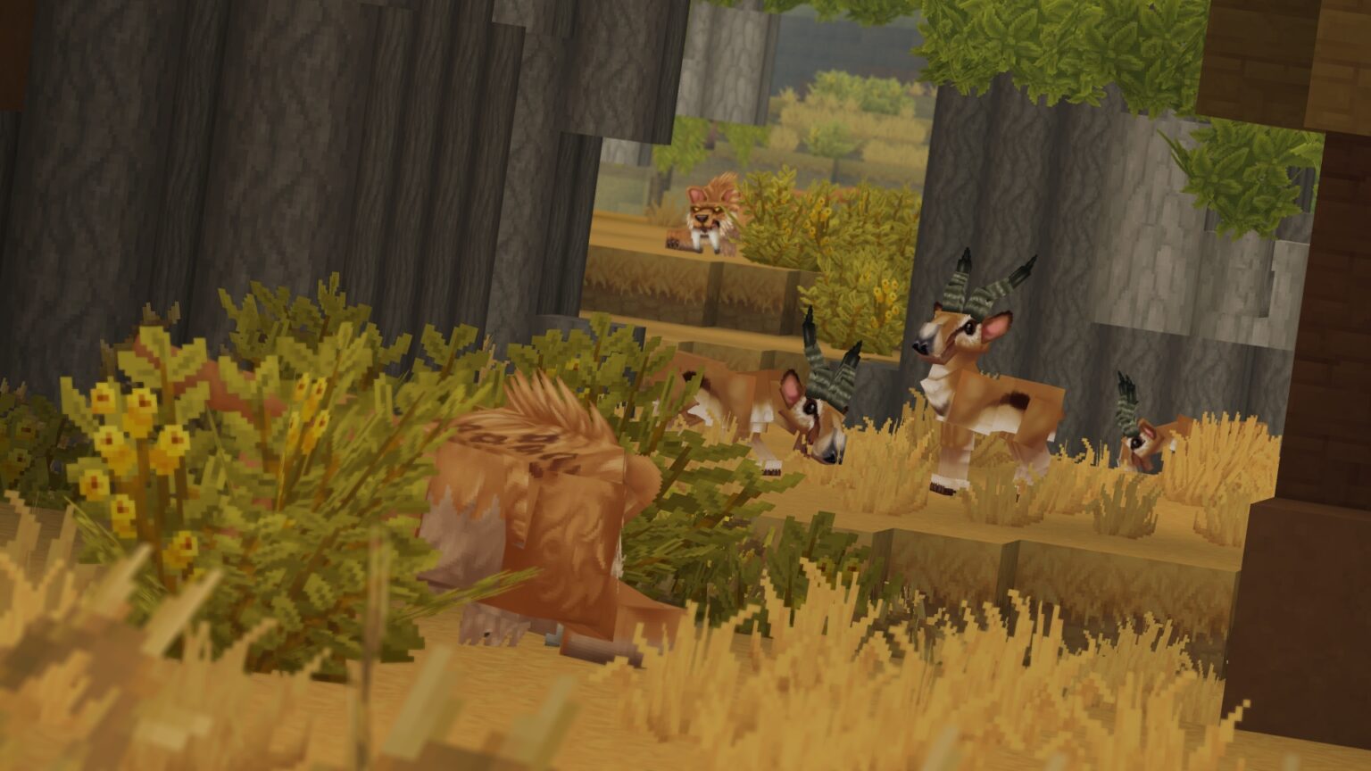 Hytale, le jeu | Hytale.game